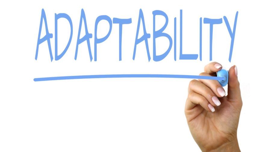 10 Characteristics of Successful Entrepreneurs - OrderZ