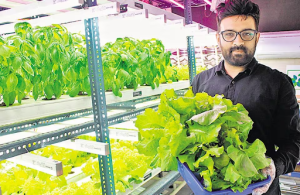 10 Profitable Agriculture Business Ideas with Low Investment - OrderZ