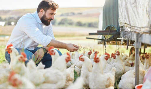 10 Profitable Agriculture Business Ideas with Low Investment - OrderZ
