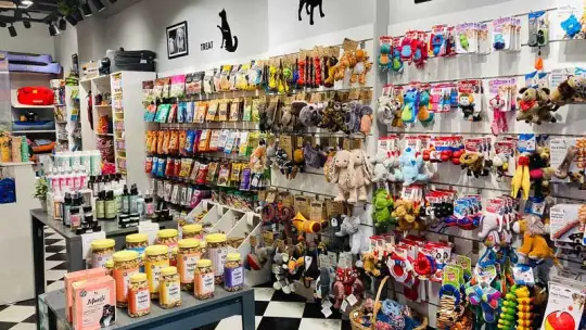 50+ Best E-commerce Business Ideas for 2024 - OrderZ