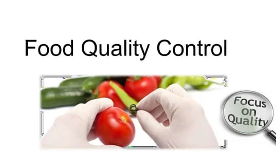 How to Start a Cloud Kitchen Business: A Comprehensive Guide - OrderZ